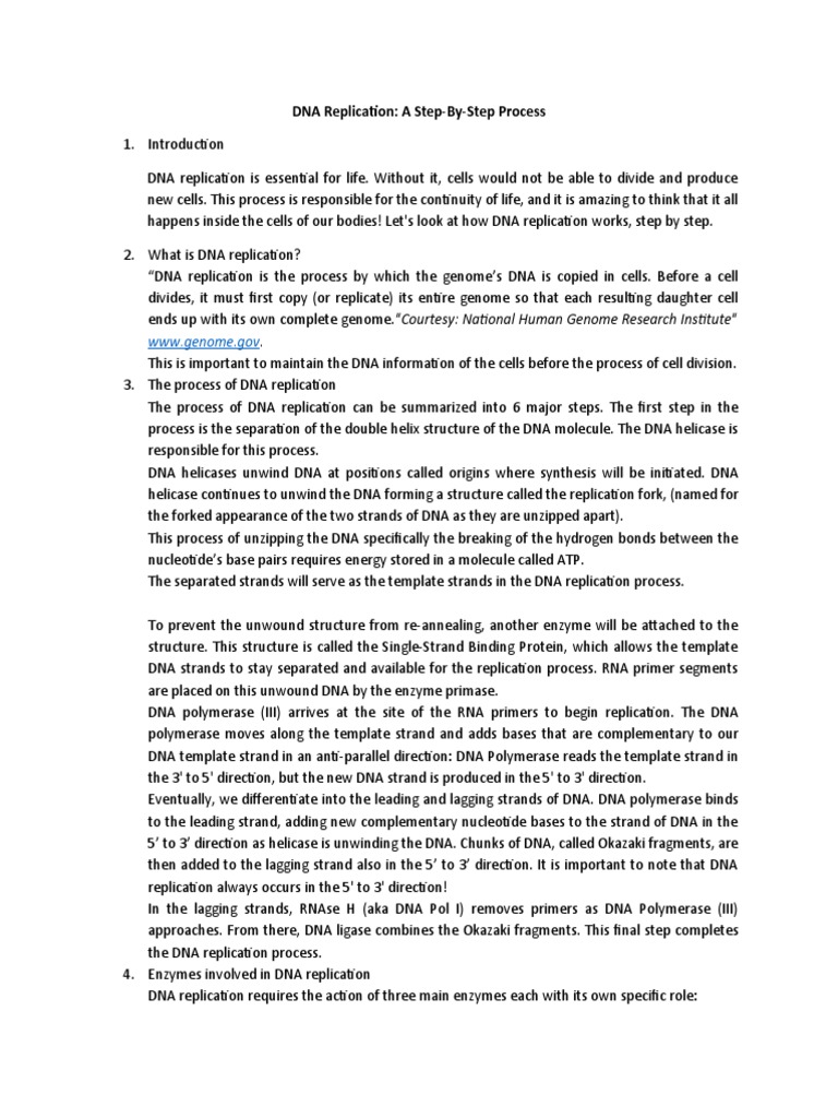 DNA Replication Notes | PDF | Dna Replication | Dna