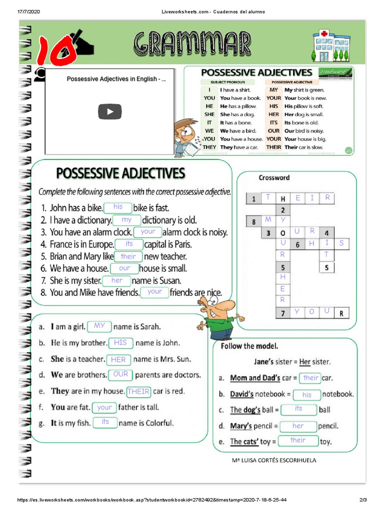Mastering English Possessive Adjectives | PDF