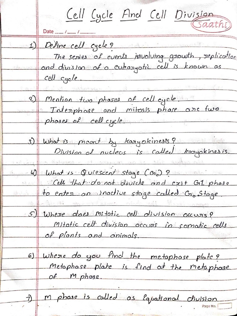 Cell Cycle and Cell Division Hand Written Notes PDF | PDF