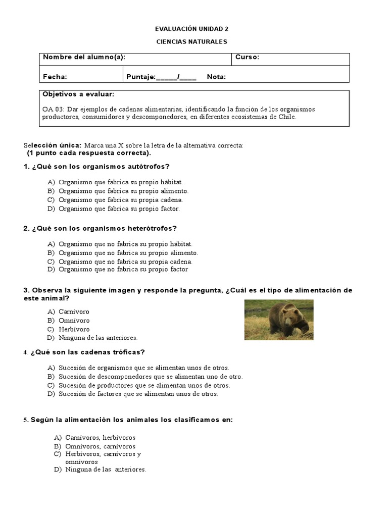 Prueba Como Se Alimentan Los Animales Sexto Ciencias | PDF | Organismos ...