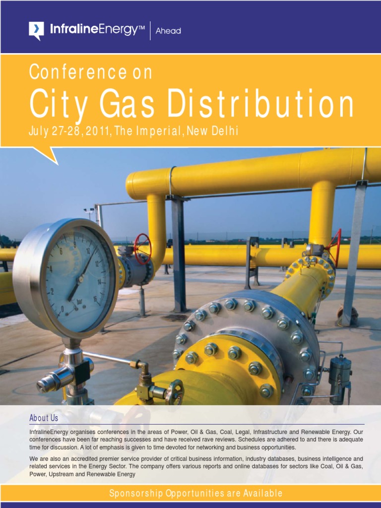 City Gas Distribution Insights | PDF | Natural Gas | Risk Management