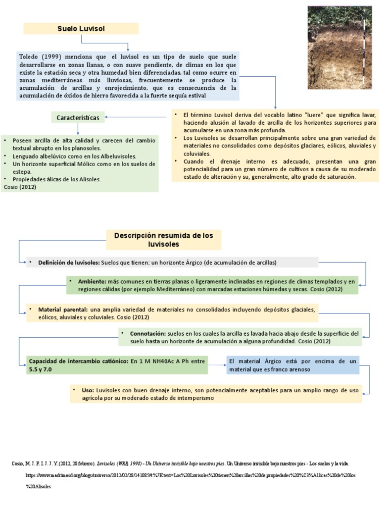Suelo Luvisol | Descargar gratis PDF | Suelo | Naturaleza