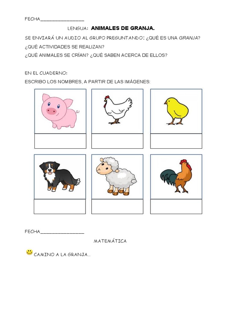 ANIMALES Actividades Completo | PDF | Artes del Lenguaje y Comunicación ...