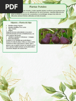 Bingo de Plantas Fotos | PDF