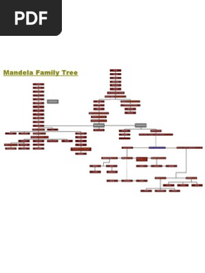 Nelson Mandela Family Tree