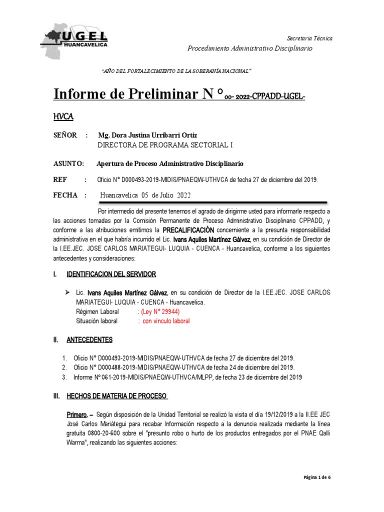 Informe de Preliminar | PDF | Derecho Constitucional | Ciencias Políticas