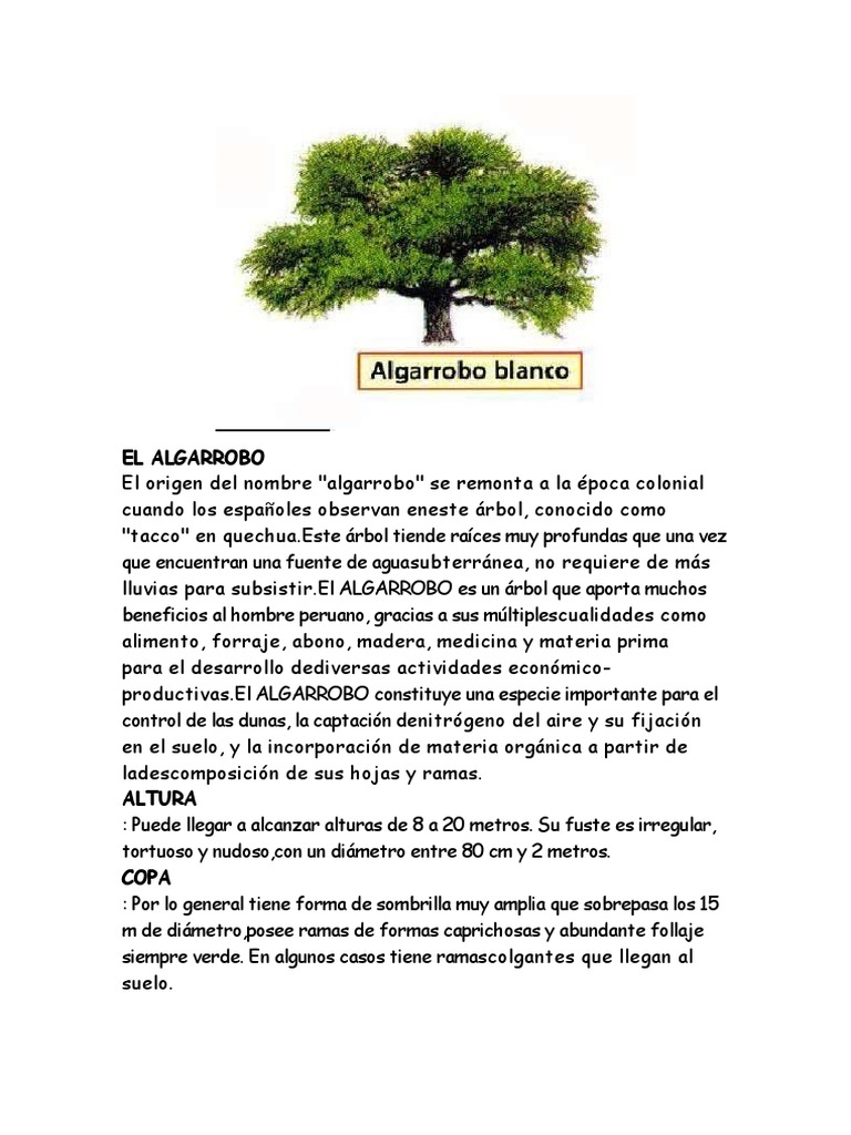 El Algarrobo | PDF