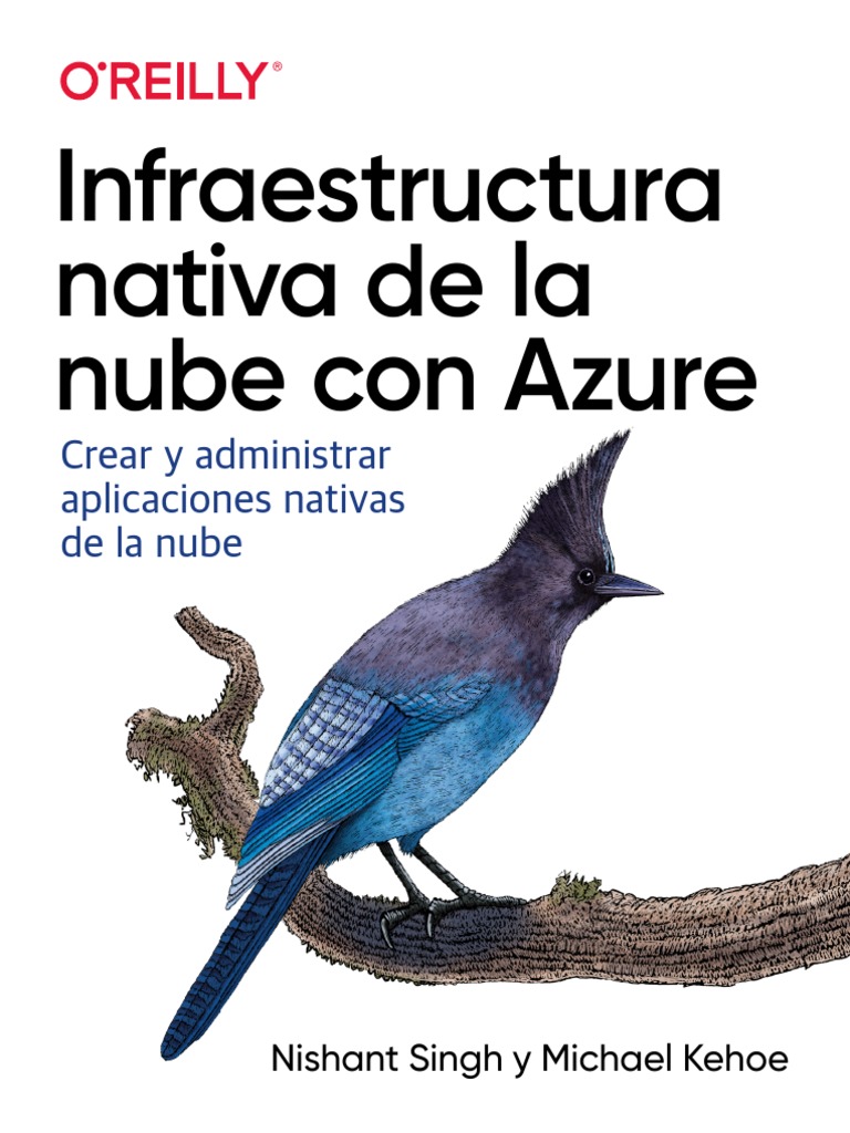 Infraestructura AZure | PDF | Computación en la nube | Microsoft Azure