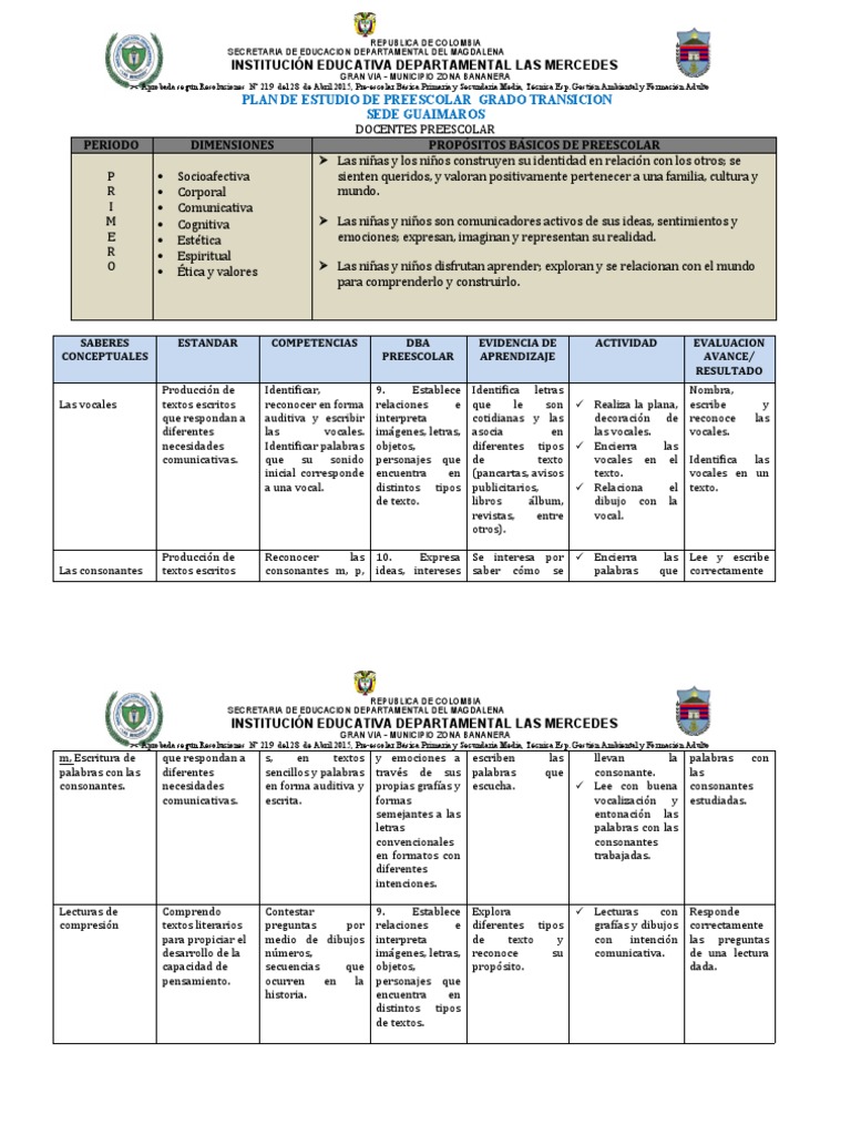 Plan de Asignatura 0° Preescolar | PDF | Educación de la primera ...