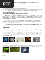 Types of Patterns in Nature | PDF