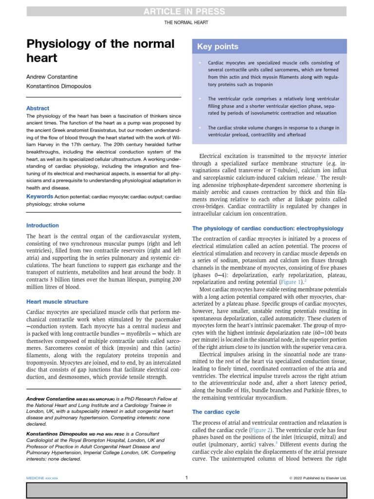 Physiology of The Normal Heart: Key Points | PDF | Diastole | Cardiac ...