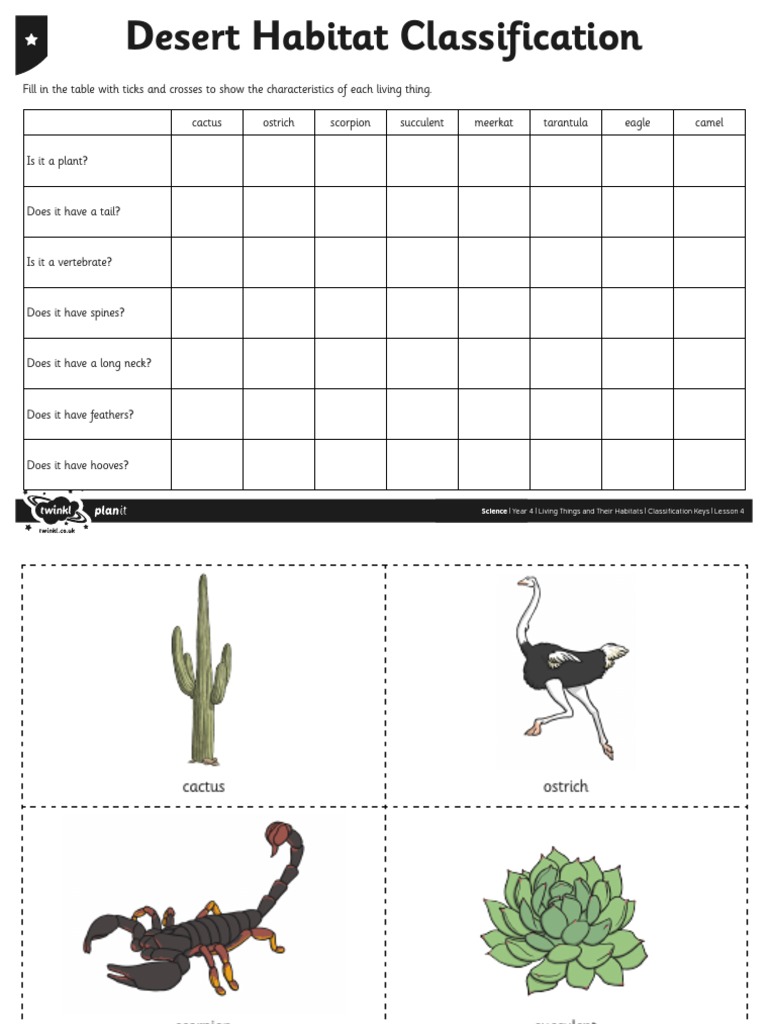 Classification Activity Pack - Desert Habitat - Lower Ability | PDF