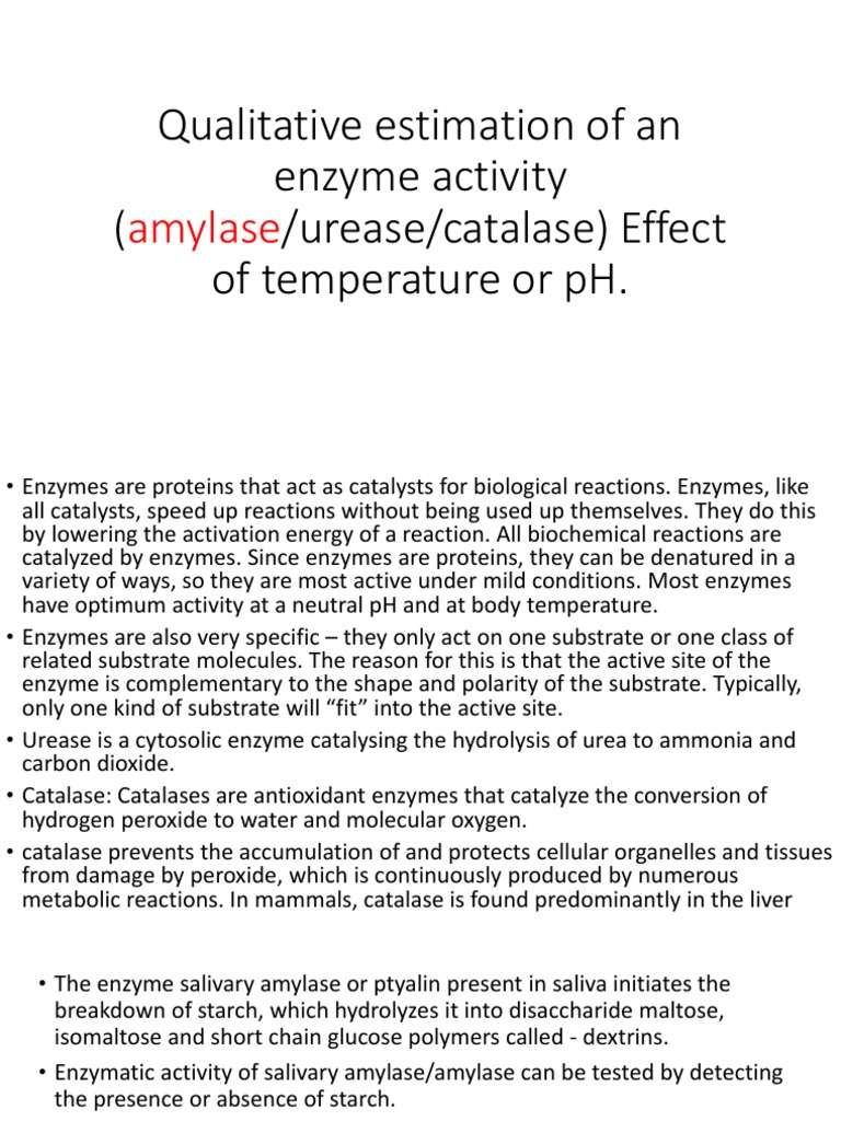 Amylase Activity Test | PDF | Enzyme | Hydrolysis