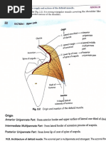 Mini Tightrope CMC Fixation | PDF | Thumb | Musculoskeletal System