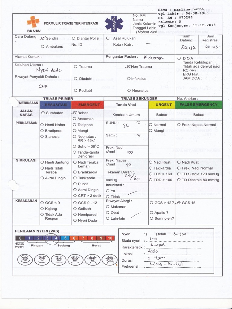 RM 4.1 - Formulir Triase Terintegrasi (Contoh Terisi) | PDF