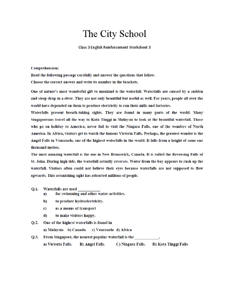 The City School: Class 3 English Reinforcement Worksheet 3 | PDF