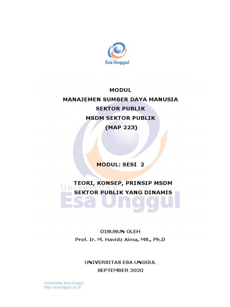 Modul 2 Teori, Konsep, Prinsip Dinamis MSDM Sektor Publik | PDF | Karier & Perkembangan