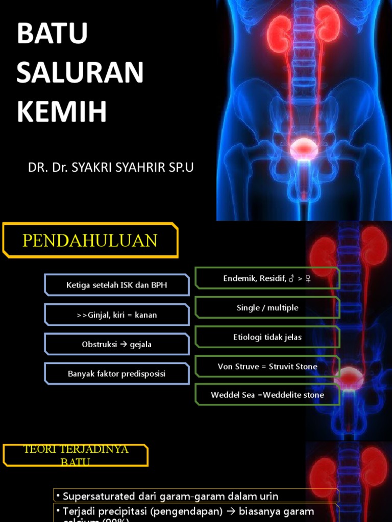 Batu Saluran Kemih | PDF