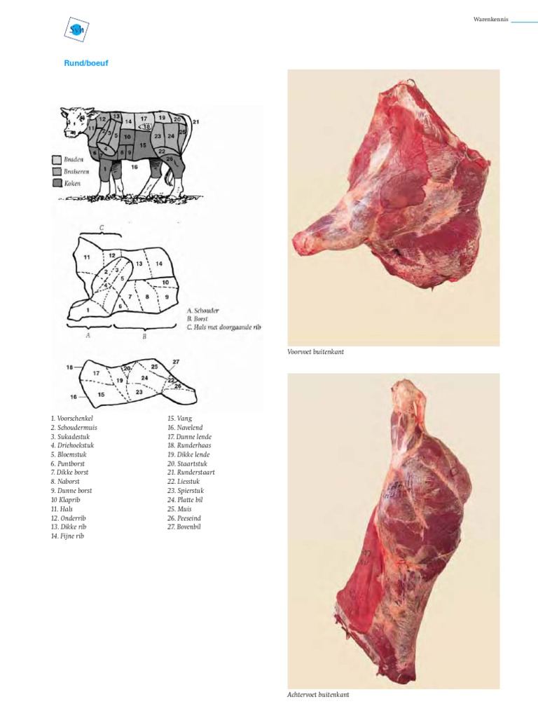 De Soorten Vlees Rund | PDF
