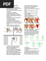 Testes Avaliativos de Mmss (Teste de Patte, Gerber) | PDF | Dor ...