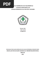 LP Post Partum Normal | PDF