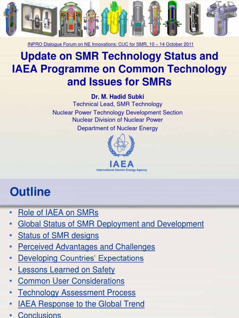 Update On SMR Technology Status and Iaea Programme On Common Technology ...