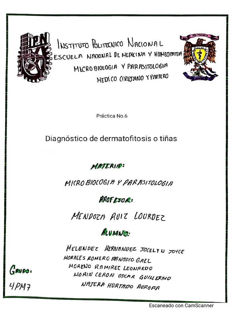 Equipo4 - Práctica 6 Dermatofitosis y Tiñas | PDF