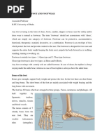 Posterior Tibial Tendon Insufficiency (PTTI) - Foot & Ankle ...