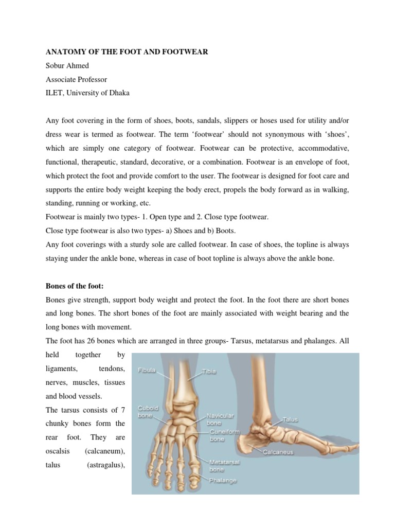 Anatomy of Foot and Footwear Overview | PDF | Shoe | Foot