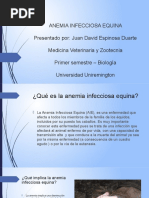 Anemia Infecciosa Equina | PDF | Virus | Infección
