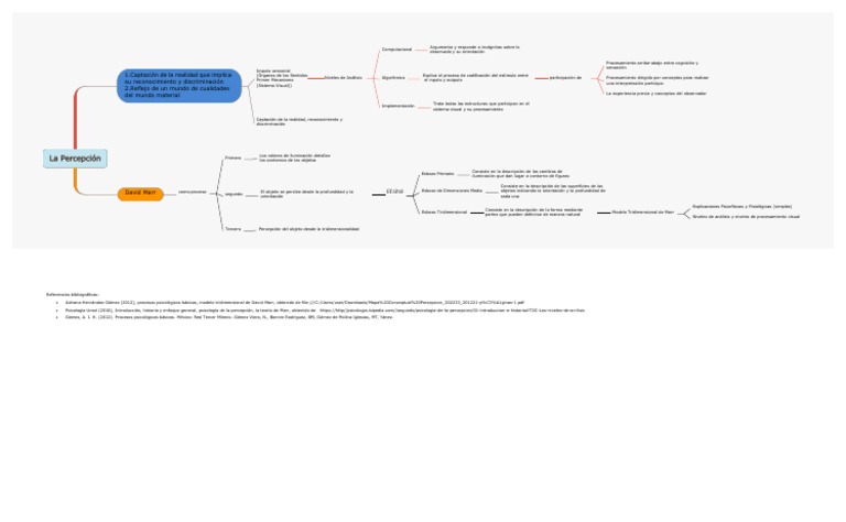 Mapa de Modelo 3D David Marr | PDF | Sicología | Percepción visual