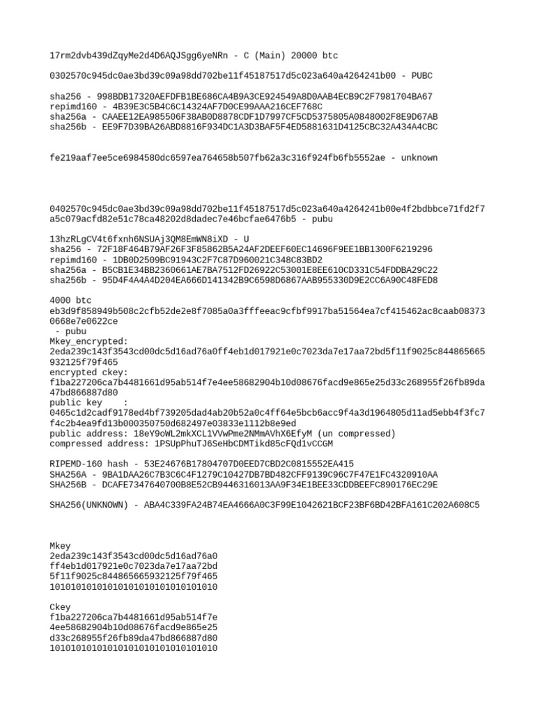 BITCOIN Pub Key | PDF | Security Engineering | Applications Of Cryptography