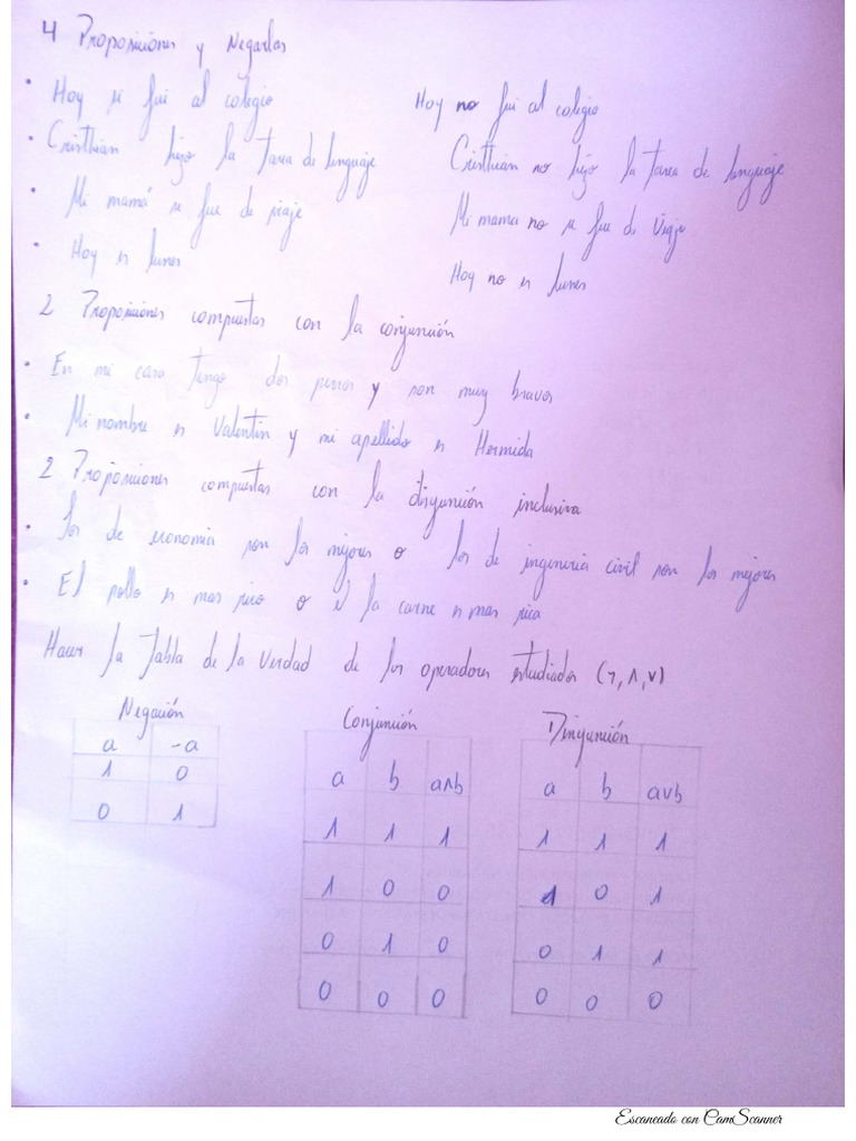 Operadores Logicos | PDF