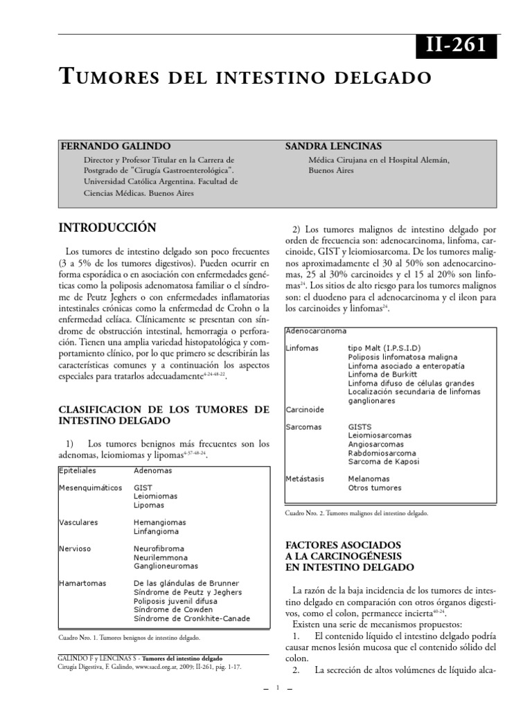 Tumores del intestino delgado: tipos y riesgos | PDF | Cáncer ...