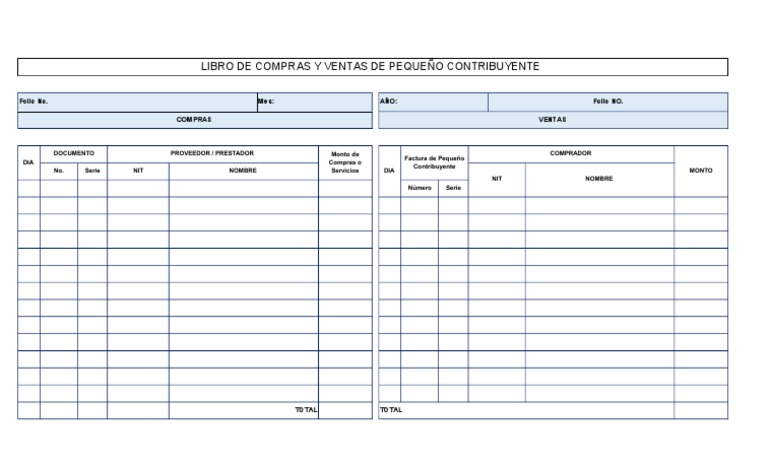 Formato Compras y Ventas de Pequeño Contribuyente | PDF