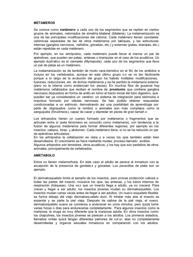 METAMEROS | Artrópodos | Zoología