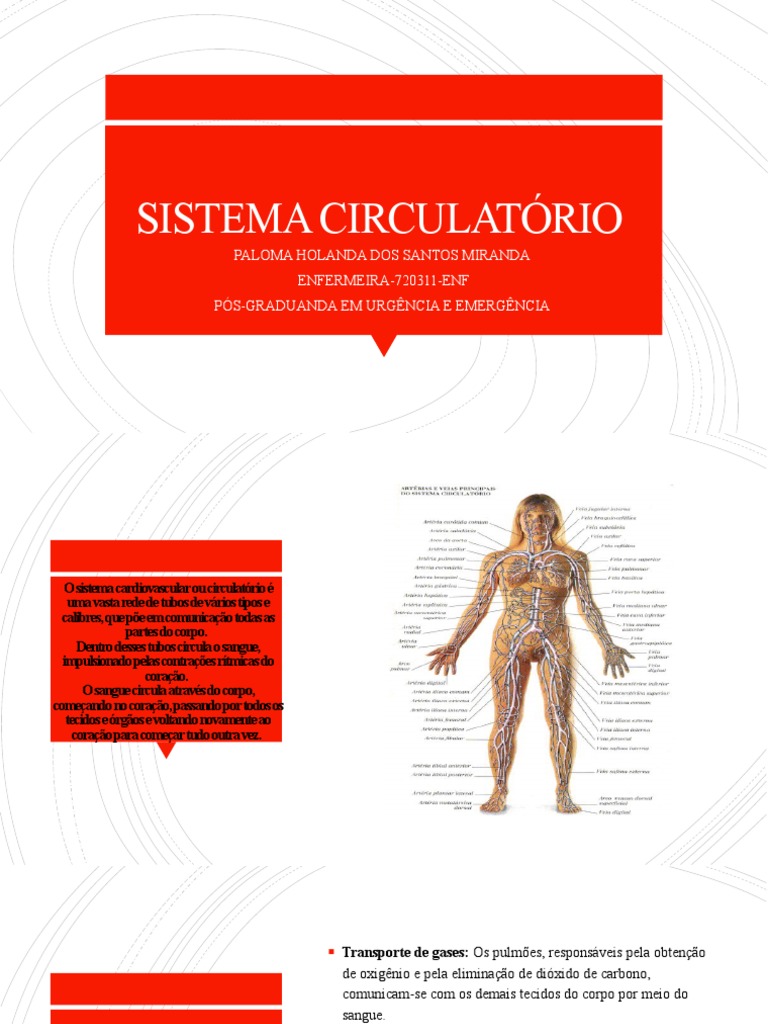 SISTEMA CIRCULATÓRIO Aula I | PDF | Coração | Sistema circulatório