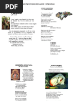 Ejemplos de Bombas Folklóricas de Honduras | PDF