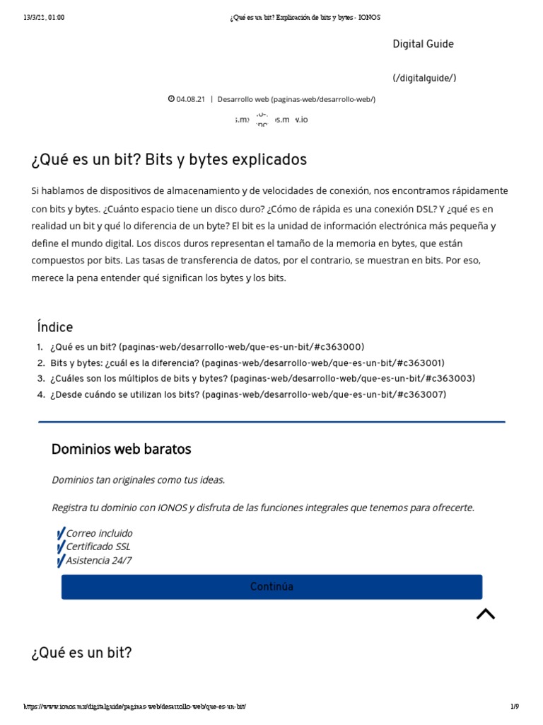 ¿Qué Es Un Bit - Explicación de Bits y Bytes - IONOS | PDF | Poco | Byte