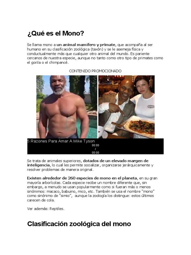 Qué Es El Mono | PDF | Ciencia y matemáticas