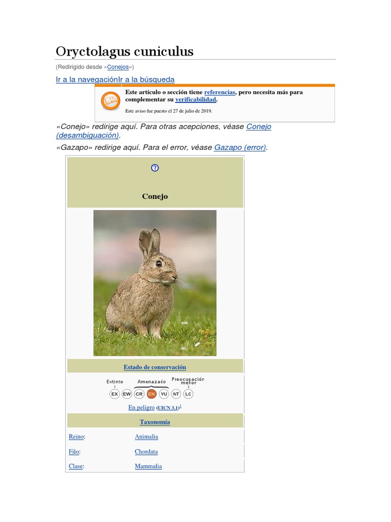 Oryctolagus Cuniculus | PDF