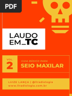 Variações Anatômicas do Seio Transverso | PDF | Seio