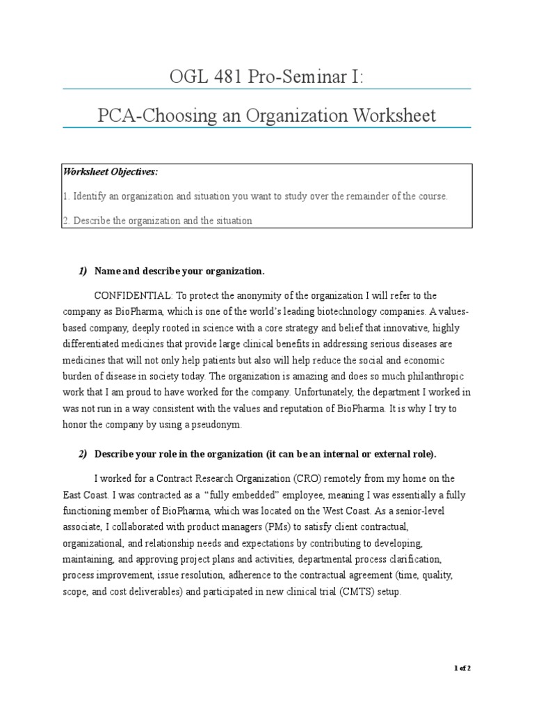 OGL 481 Pro-Seminar I: PCA-Choosing An Organization Worksheet | PDF ...