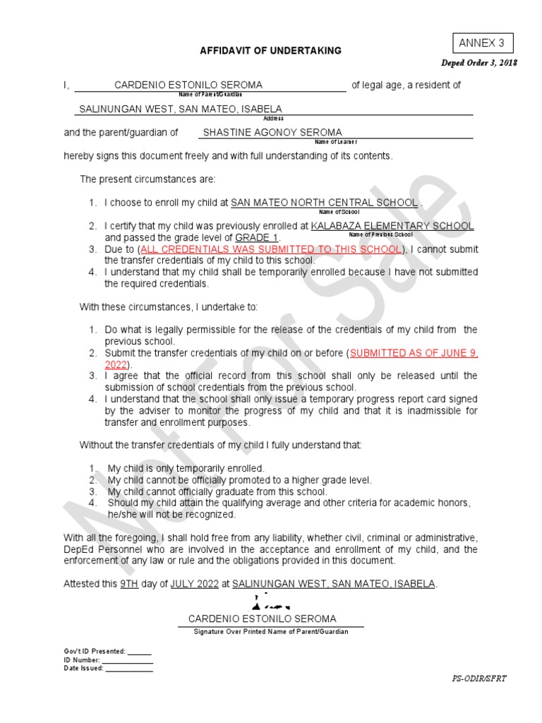 Annex 3 Affidavit of Undertaking DO 3 2018 | PDF | Credential | Social ...