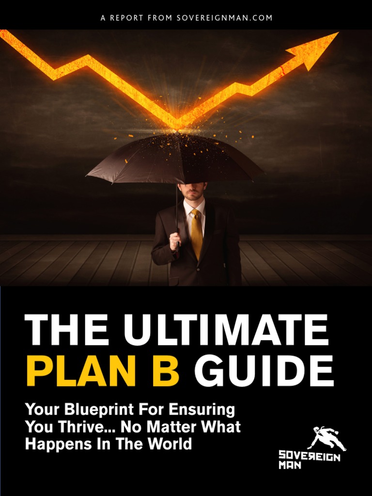 The Ultimate Guide: Plan B | PDF | Investing | Individual Retirement Account