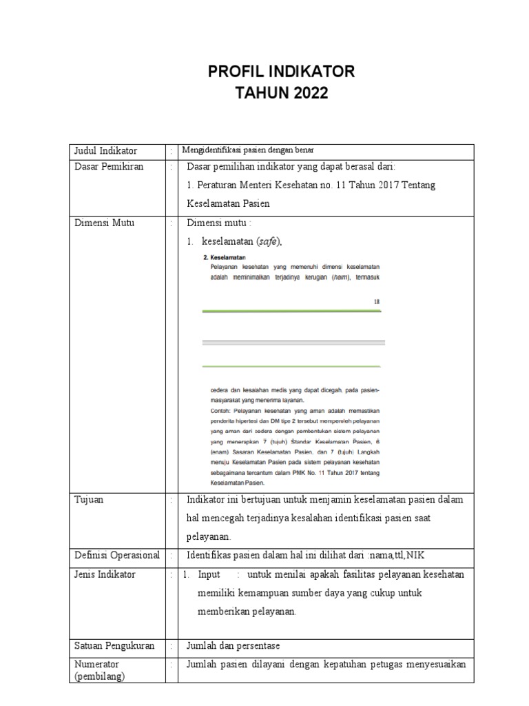 PROFIL INDIKATOR Identifikasi Pasien | PDF
