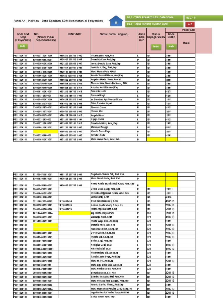 Data SISDMK Tahun 2018 Update Dinkes Ende - Ndetundora | PDF