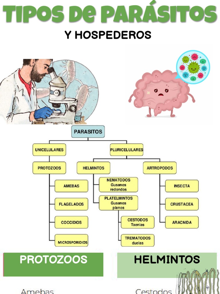 Tipos de Parásitos y Hospederos | PDF | Organismos | Especialidades Medicas