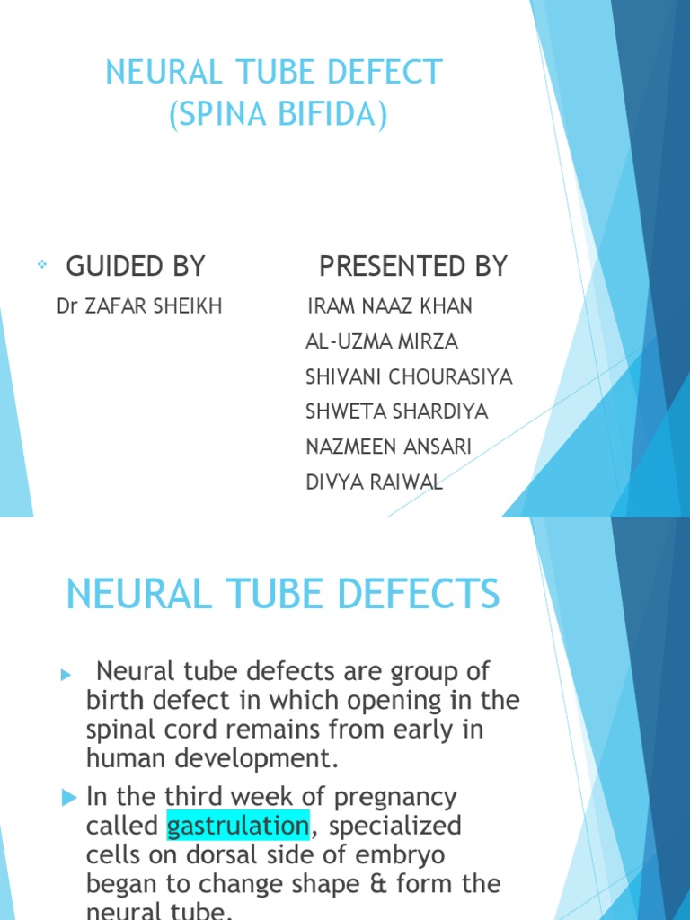 Neural Tube Defect (Spina Bifida): A Comprehensive Review | PDF ...