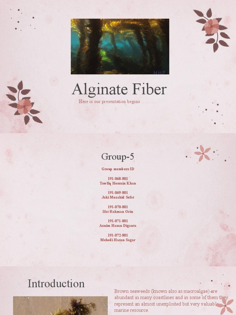 Alginate Fiber - Group-5 | PDF | Algae | Fibers